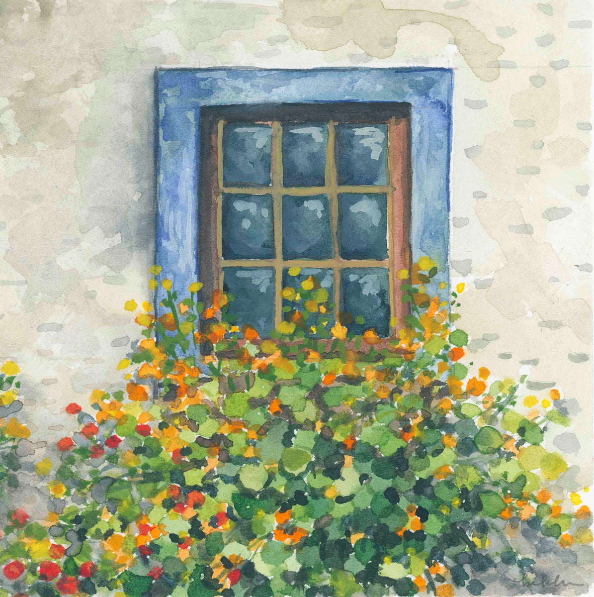 nasturtium window box || art print – see what i sea design